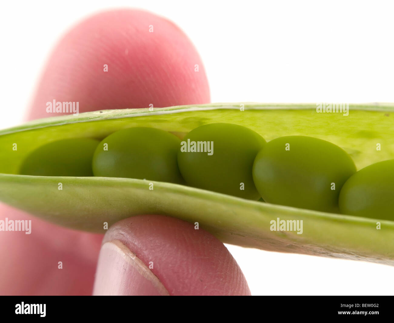 Fingers holding green peas macro on white Stock Photo - Alamy