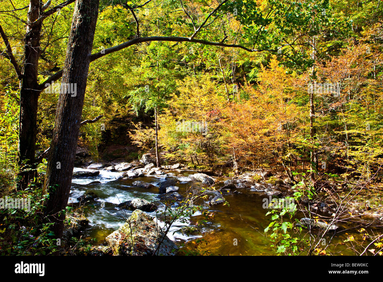 Little River, Great Smoky Mountains National Park, Tennessee Stock ...