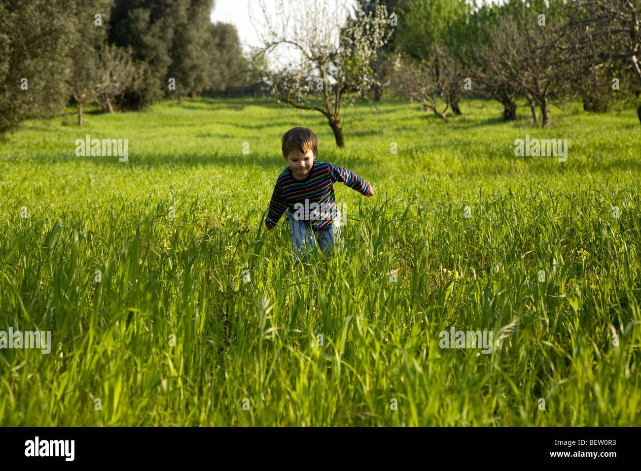 Liberty orchards hi-res stock photography and images - Alamy