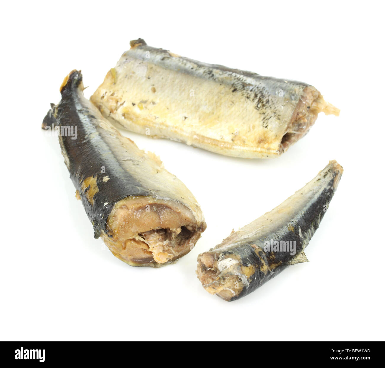 Mackerel flesh hi-res stock photography and images - Alamy