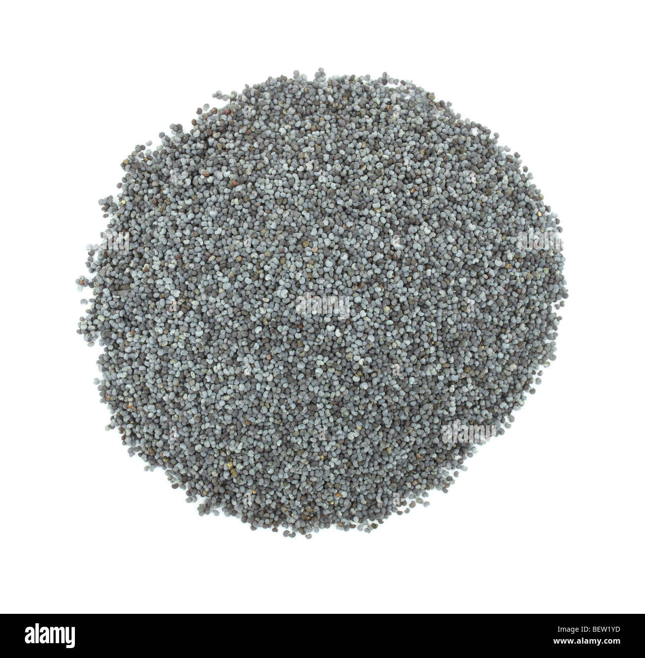 Seed cuisine Cut Out Stock Images & Pictures - Alamy