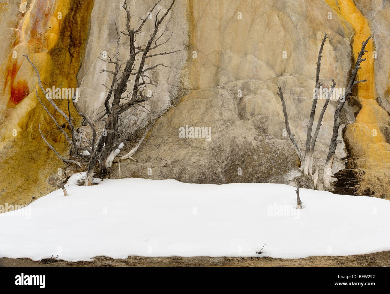 Orange Mound Spring travertine formations, Yellowstone National Park ...