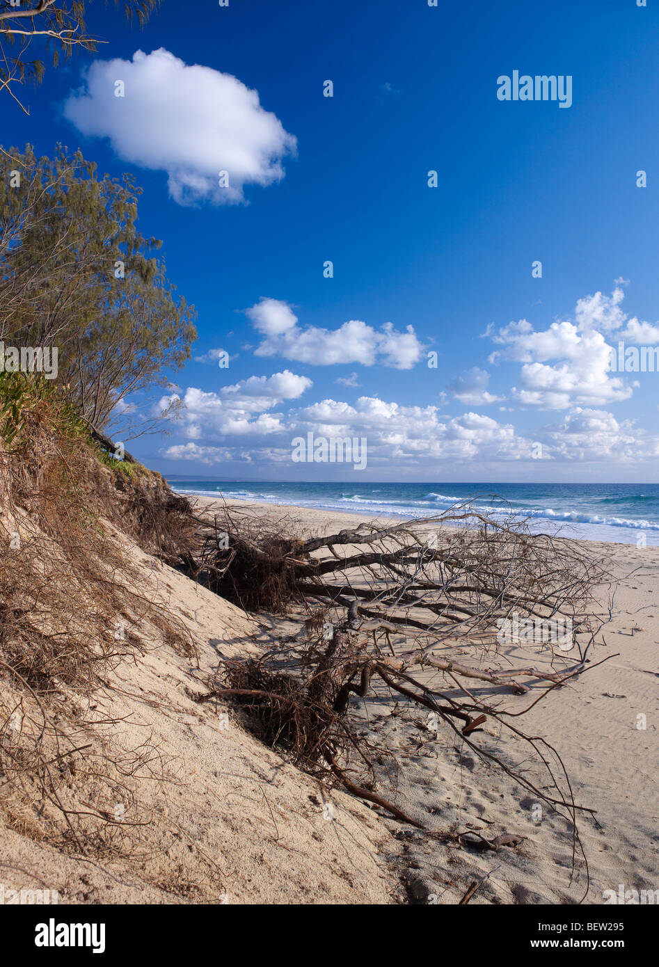 Beach erosion on Rainbow Beach Queensland Australia from rising sea ...