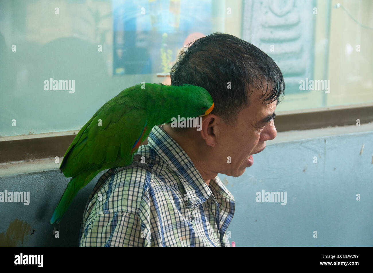 Jj bird hi-res stock photography and images - Alamy