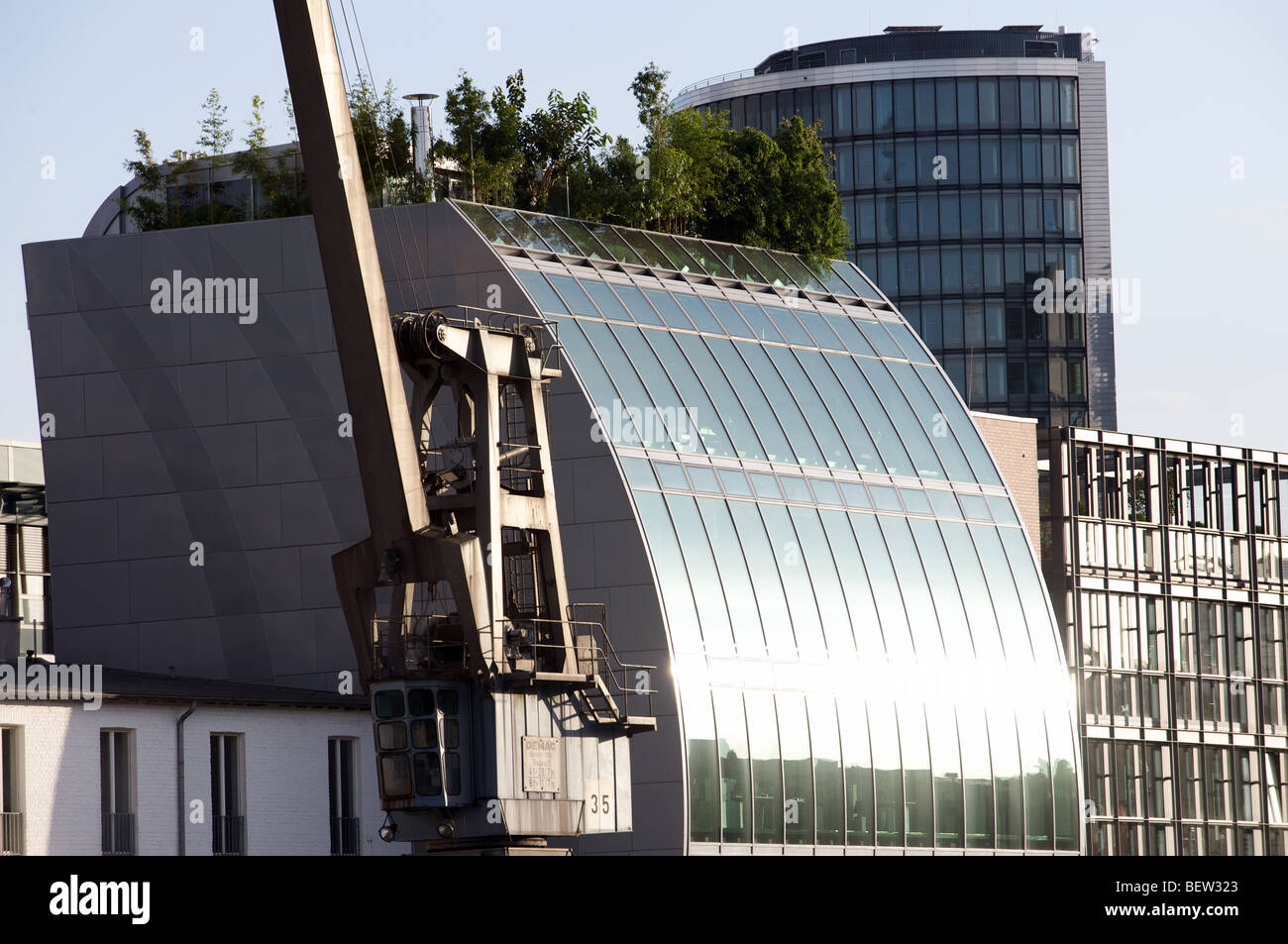 Roof garden on an office block Stock Photo - Alamy