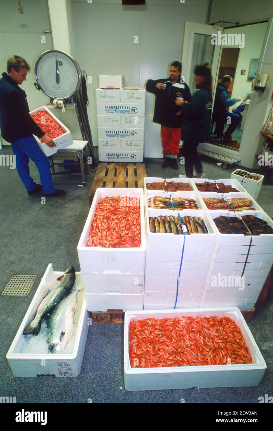 Boxed fresh fish and shrimp being weighed before shipping from docks of ...