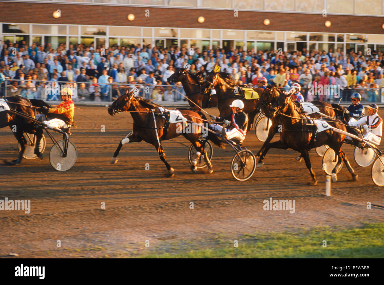 Harness Racing Sweden High Resolution Stock Photography and Images - Alamy
