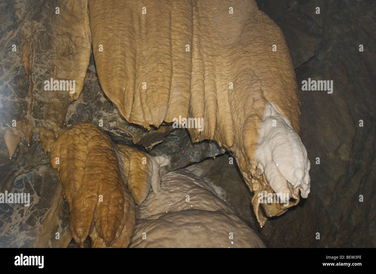 Riwaka Resurgence Cave Stock Photo - Alamy