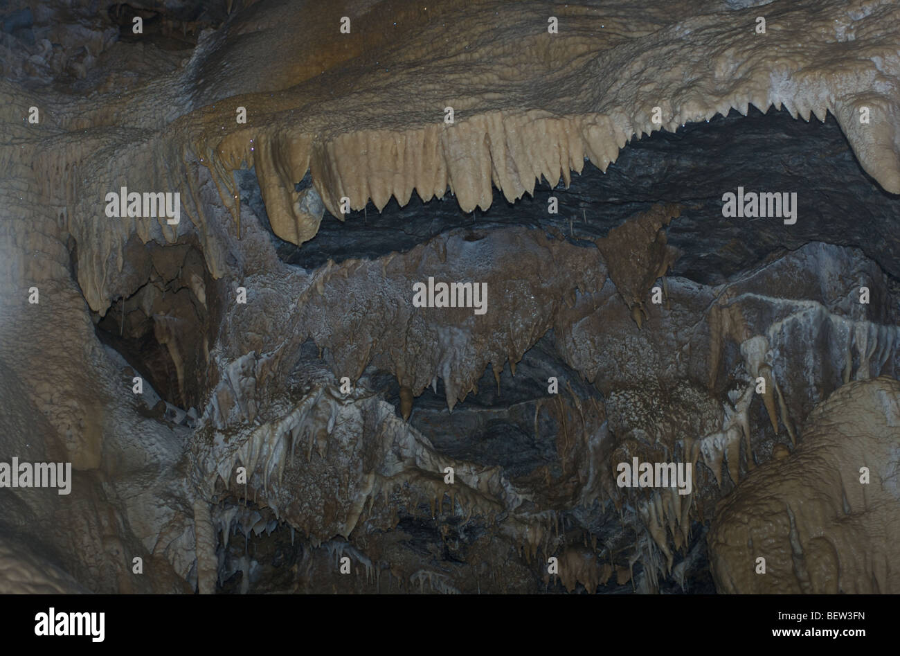 Riwaka Resurgence Cave Stock Photo - Alamy