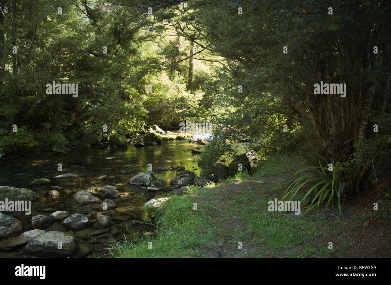 Riwaka river hi-res stock photography and images - Alamy