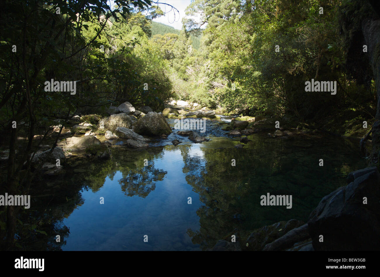 Riwaka hi-res stock photography and images - Alamy