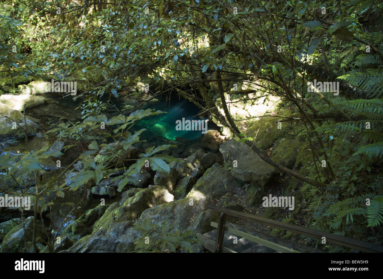 Riwaka River Source Stock Photo - Alamy