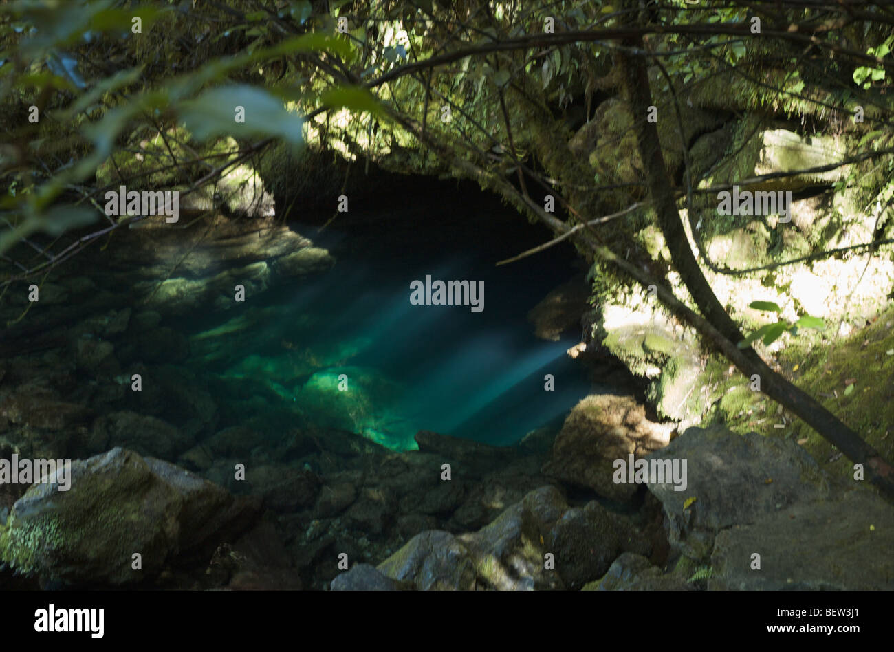 Riwaka river hi-res stock photography and images - Alamy