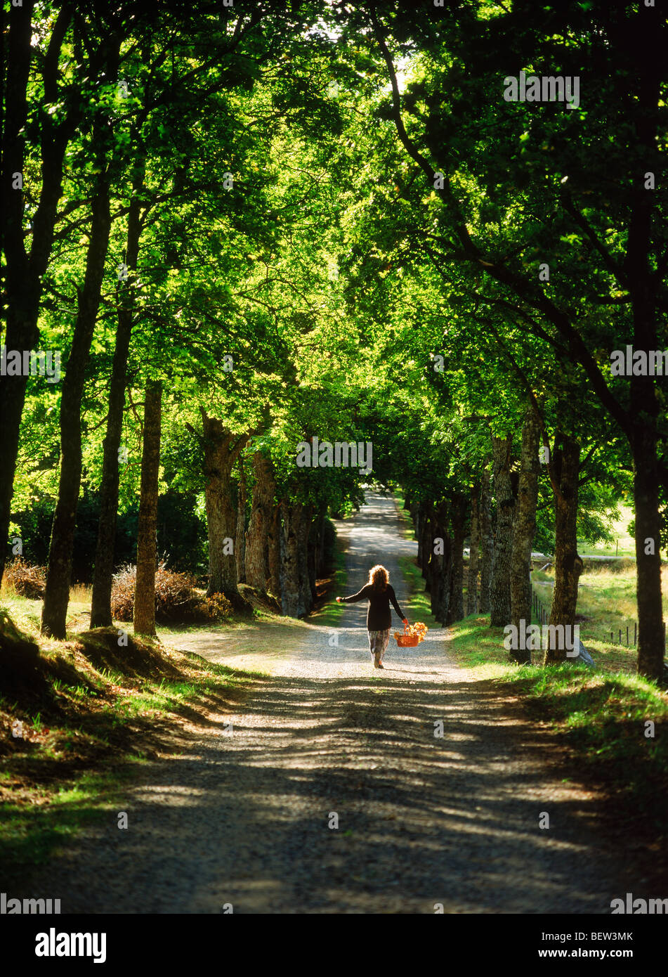 Woman walking on country lane hi-res stock photography and images - Alamy