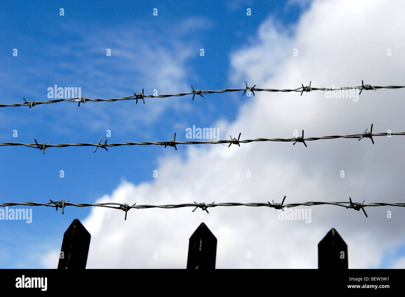 Barbed wire security guard hi-res stock photography and images - Alamy