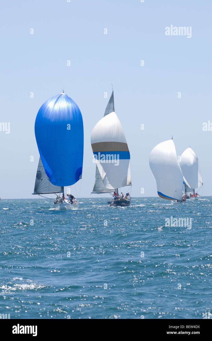 Yachts compete in team sailing event, California Stock Photo - Alamy