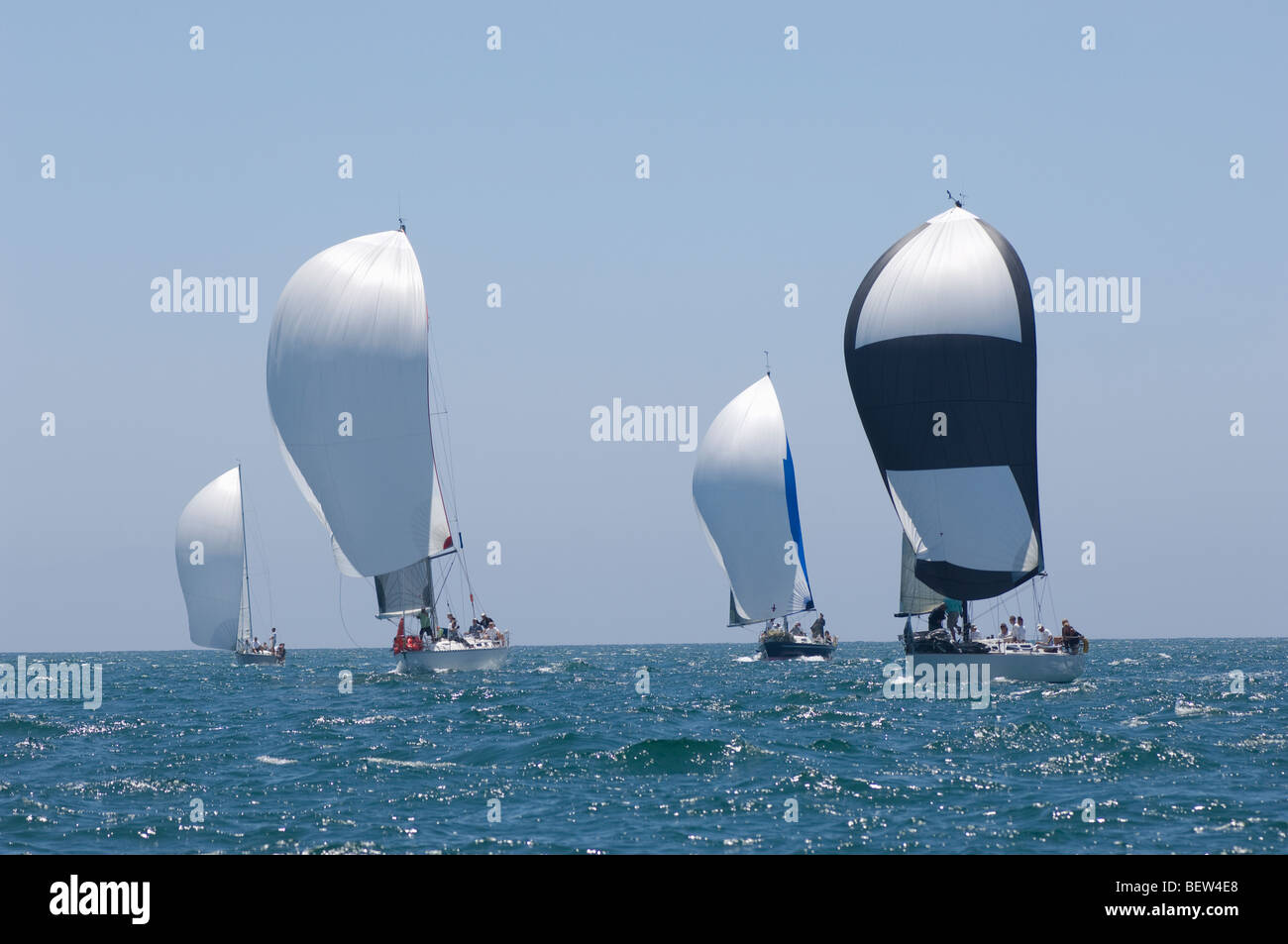 Four yachts compete in team sailing event, California Stock Photo - Alamy