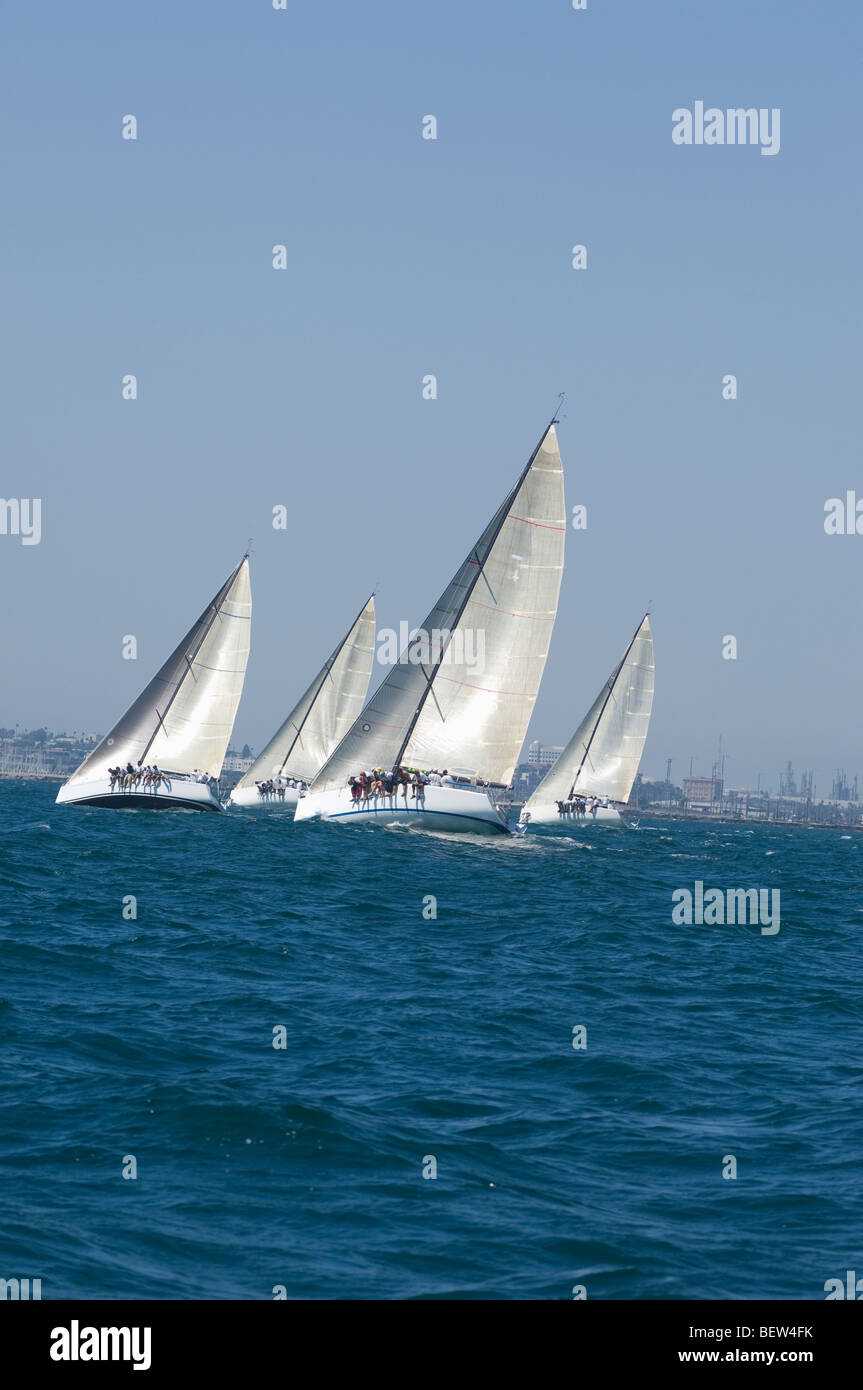 Four yachts compete in team sailing event, California Stock Photo - Alamy