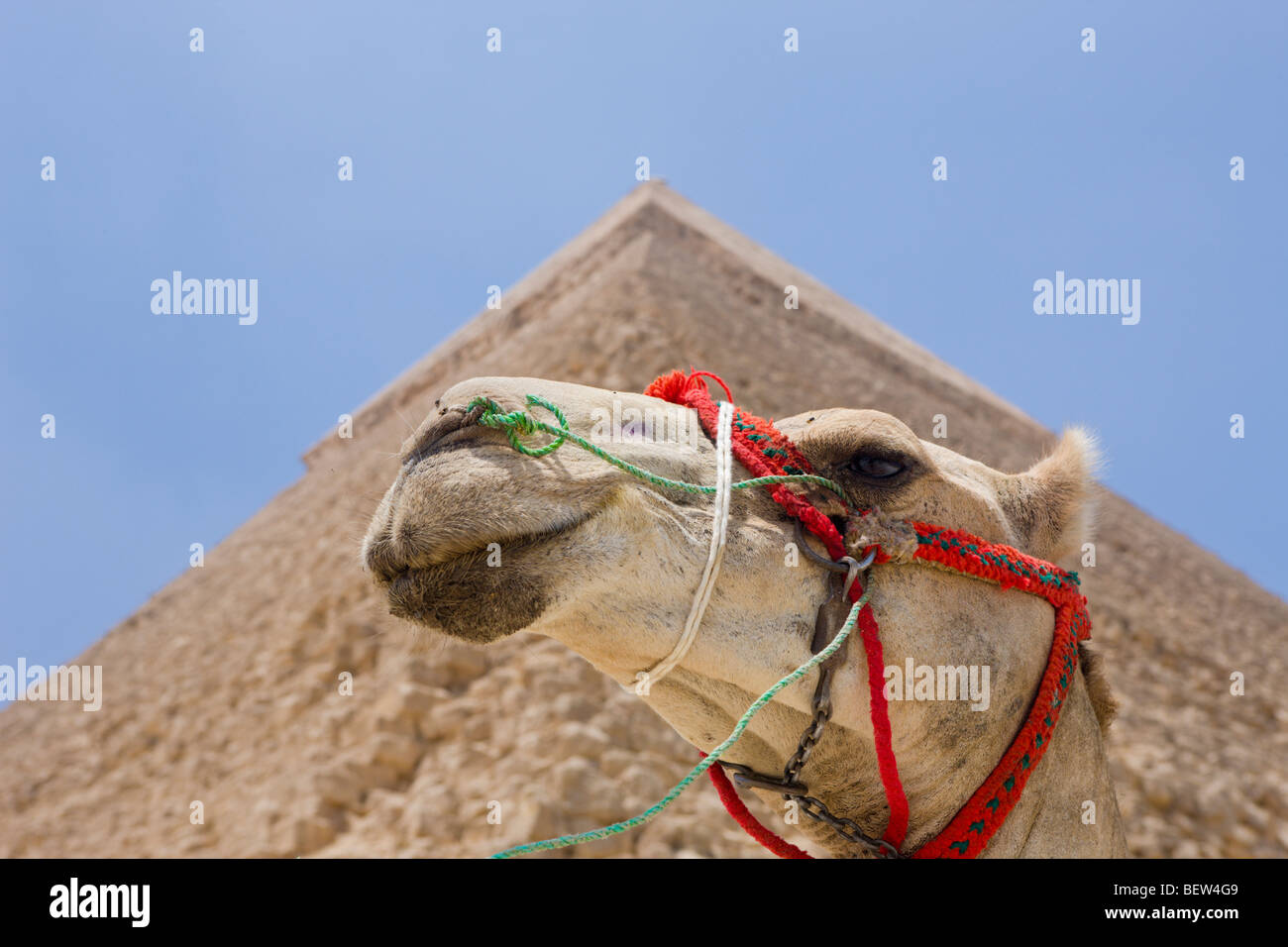 Egypt cairo pyramid close hi-res stock photography and images - Alamy