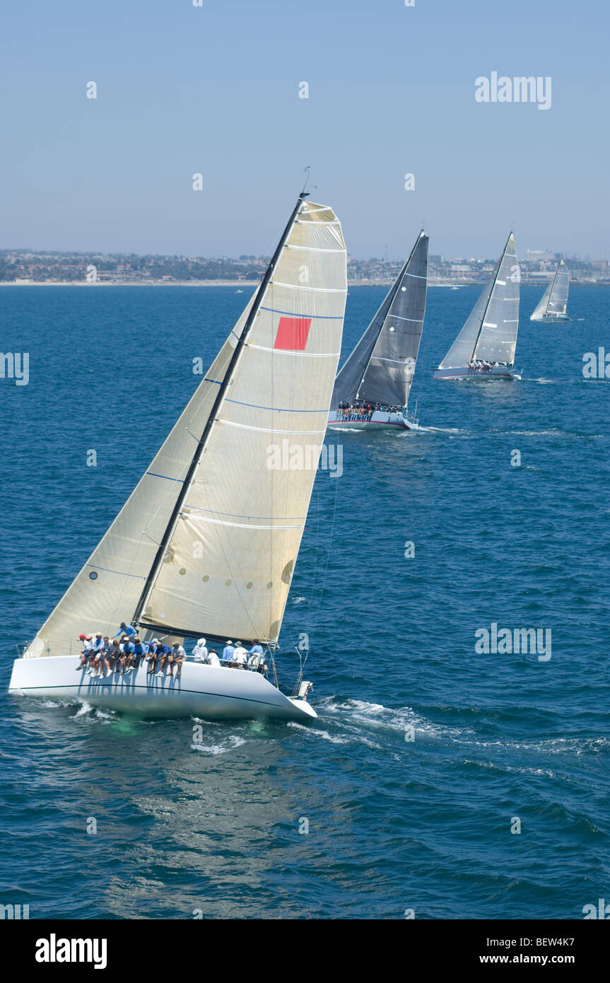 Four yachts compete in team sailing event, California Stock Photo - Alamy