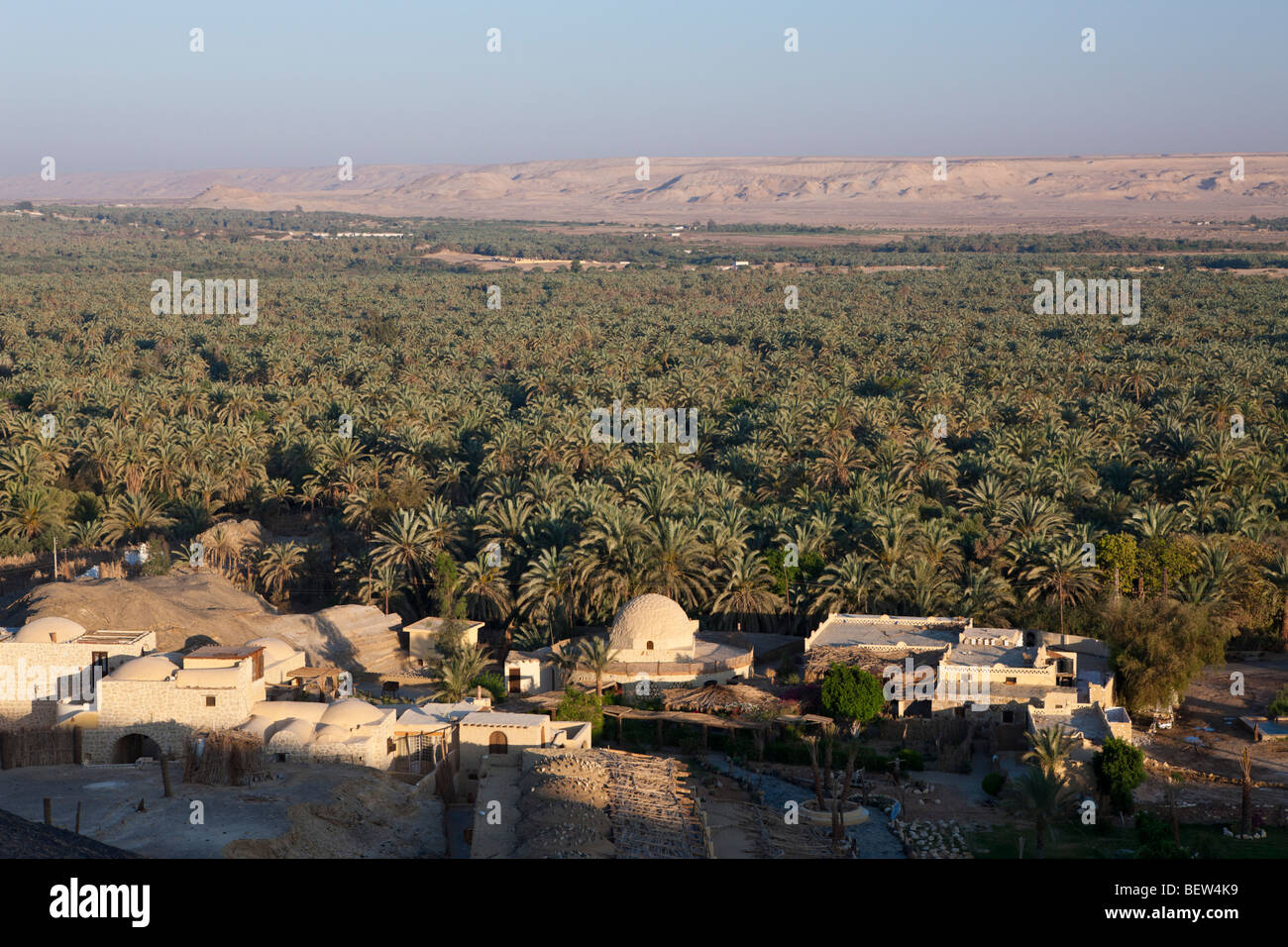 View on Bahariya Oasis, Bahariya Oasis, Libyan Desert, Egypt Stock ...