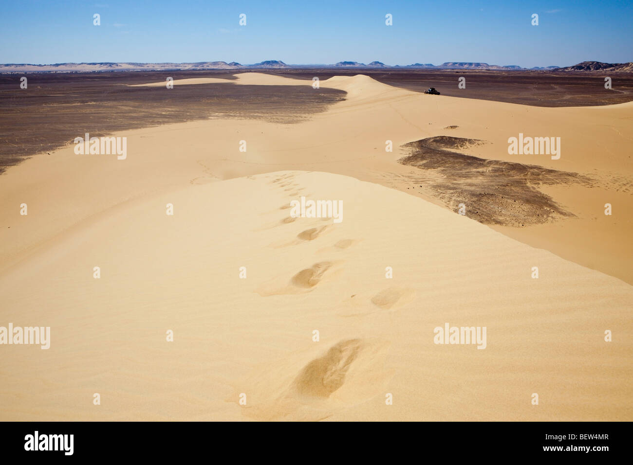 Sand Dune in Libyan Desert, Libyan Desert, Egypt Stock Photo - Alamy