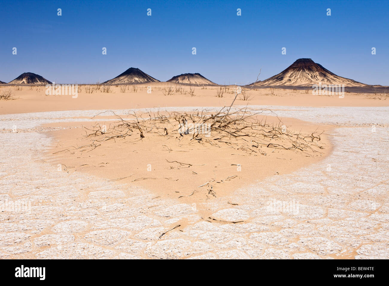 Desert near Bahariya Oasis, Libyan Desert, Egypt Stock Photo - Alamy