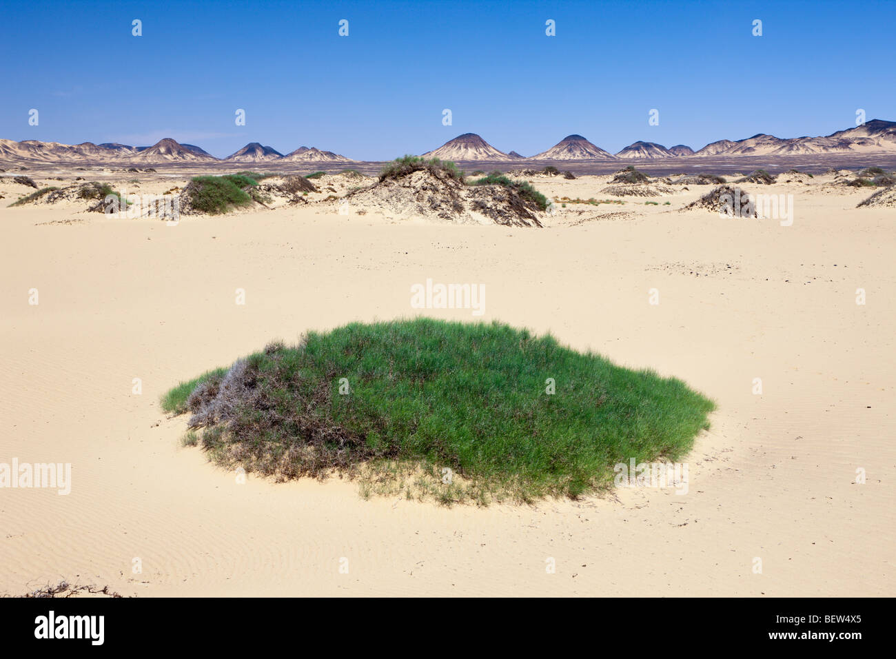 Desert near Bahariya Oasis, Libyan Desert, Egypt Stock Photo - Alamy