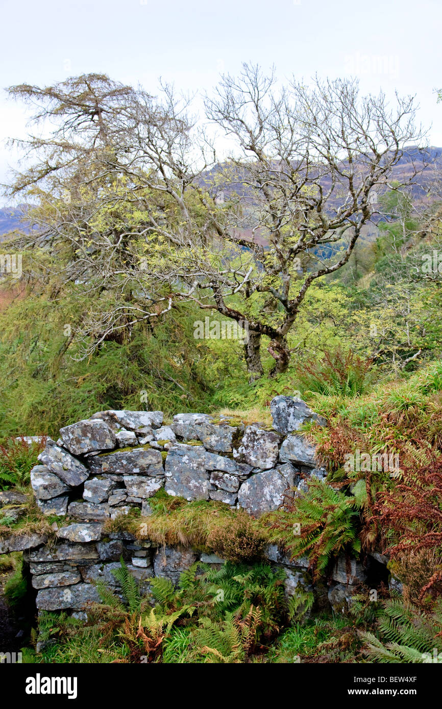 Caistel Grugaig Broch at Totaig Stock Photo - Alamy