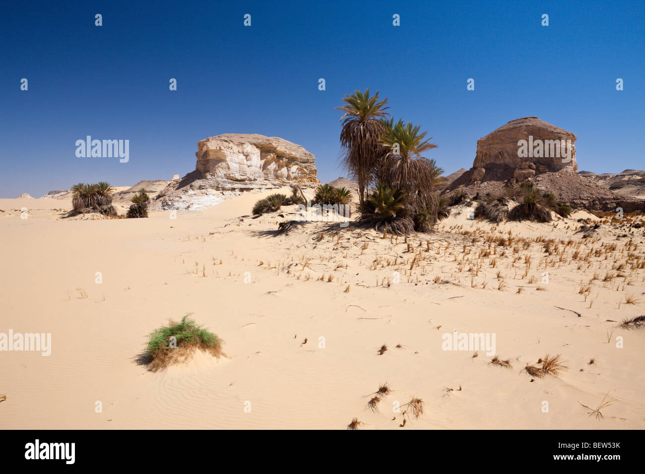 Oasis al-Wadi near White Desert National Park, Libyan Desert, Egypt ...
