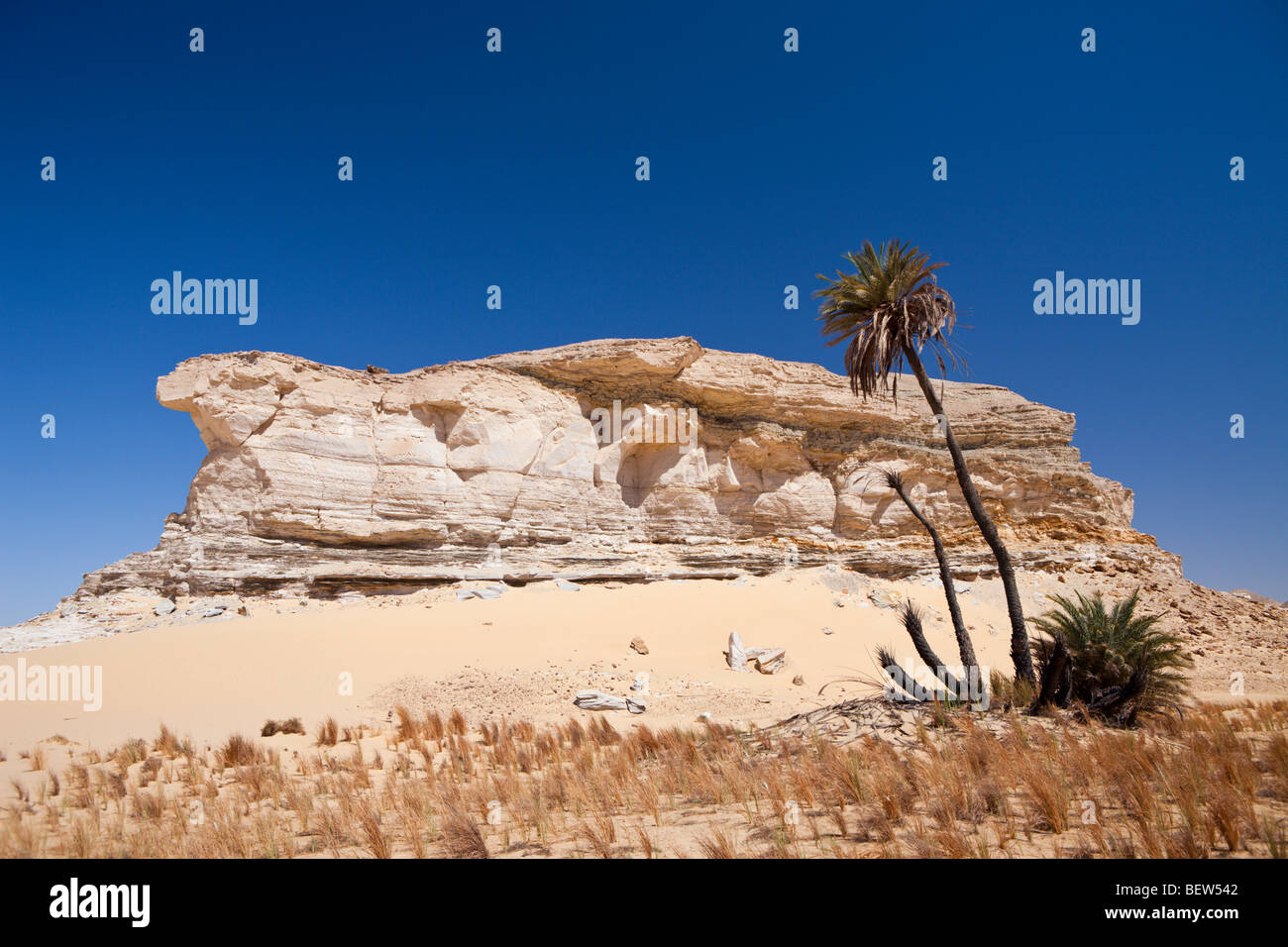 Oasis al-Wadi near White Desert National Park, Libyan Desert, Egypt ...