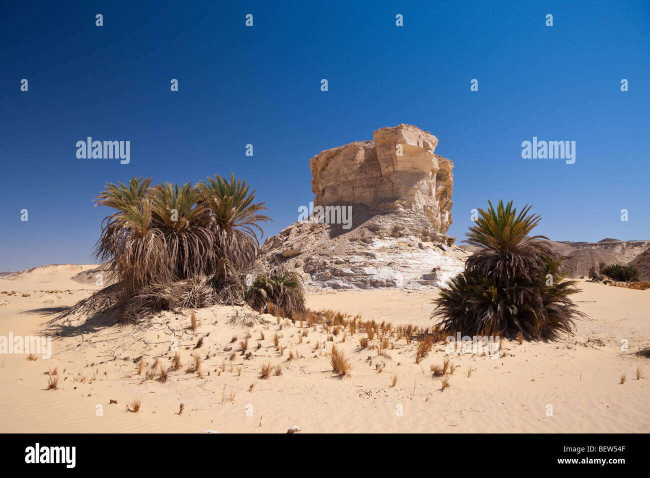Oasis al-Wadi near White Desert National Park, Libyan Desert, Egypt ...