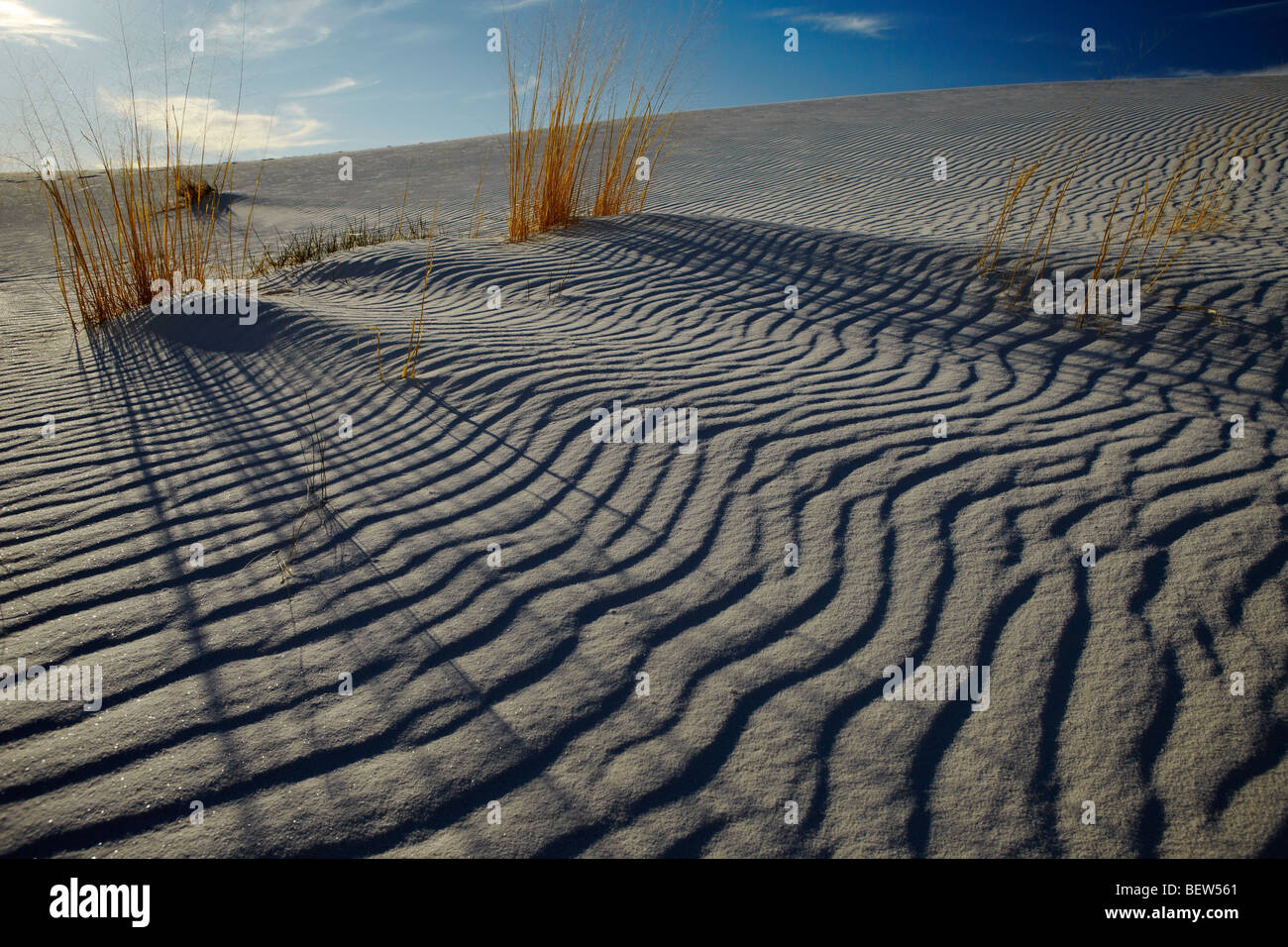 Sand ripples in desert, USA Stock Photo - Alamy
