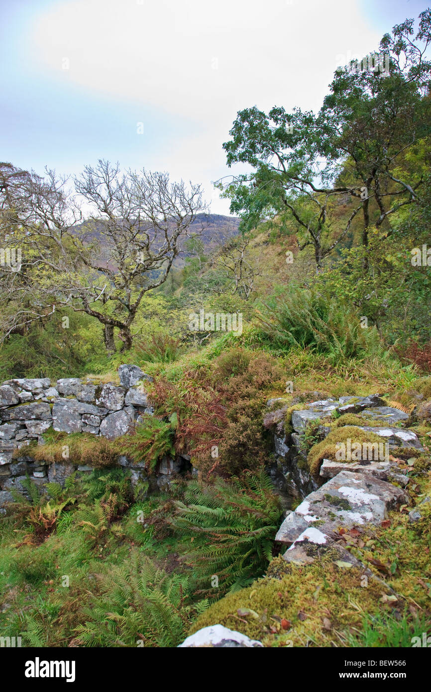 Caistel Grugaig Broch at Totaig Stock Photo - Alamy