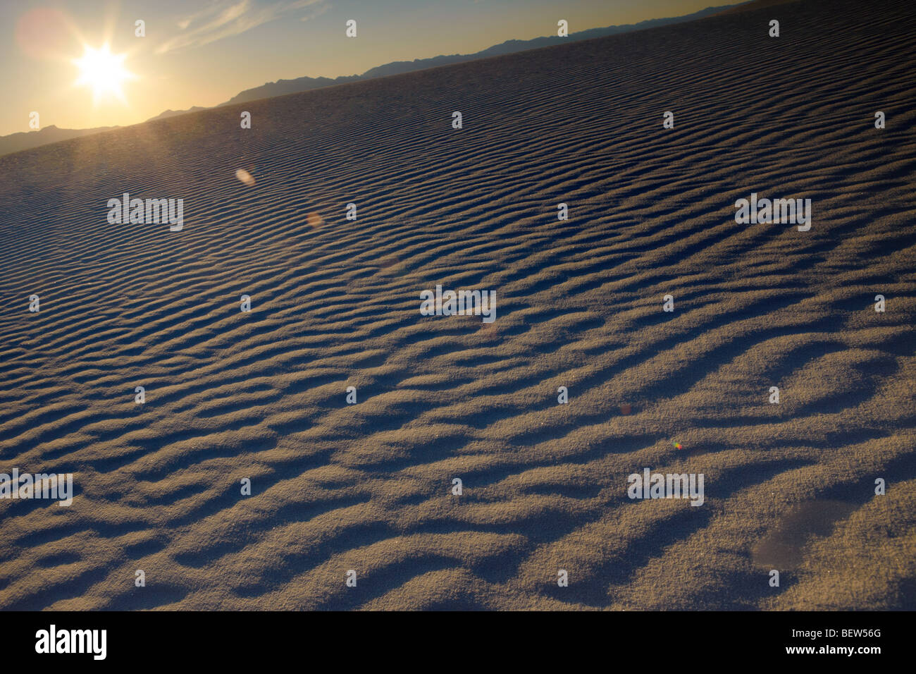 Sand ripples in desert, USA Stock Photo - Alamy