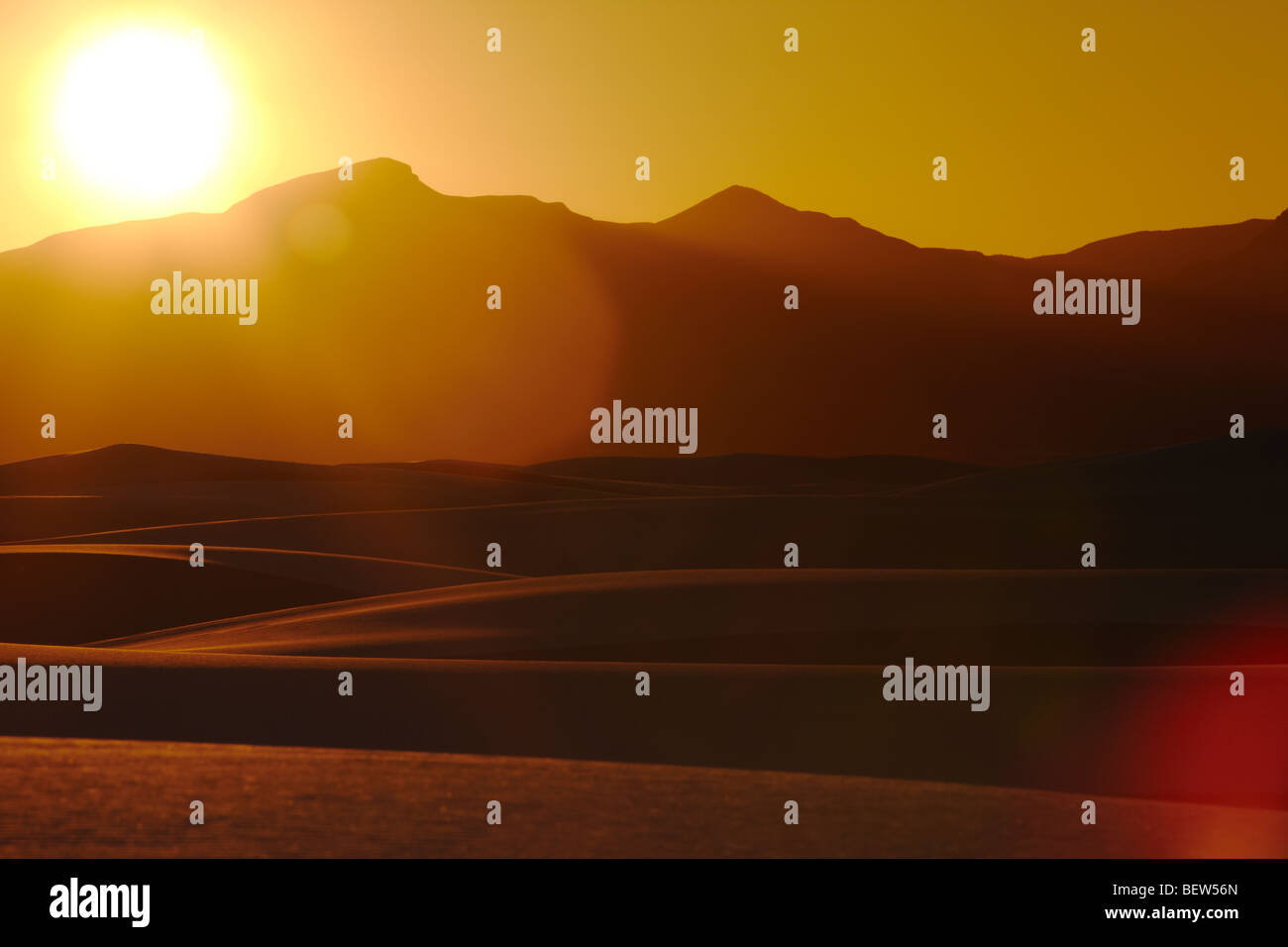 Desert at sunset, USA Stock Photo - Alamy