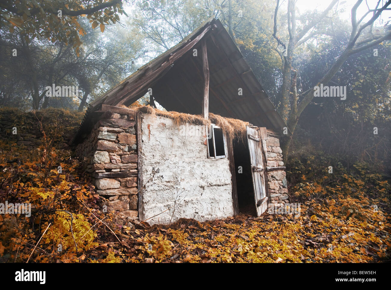 Old house in the forest Stock Photo - Alamy