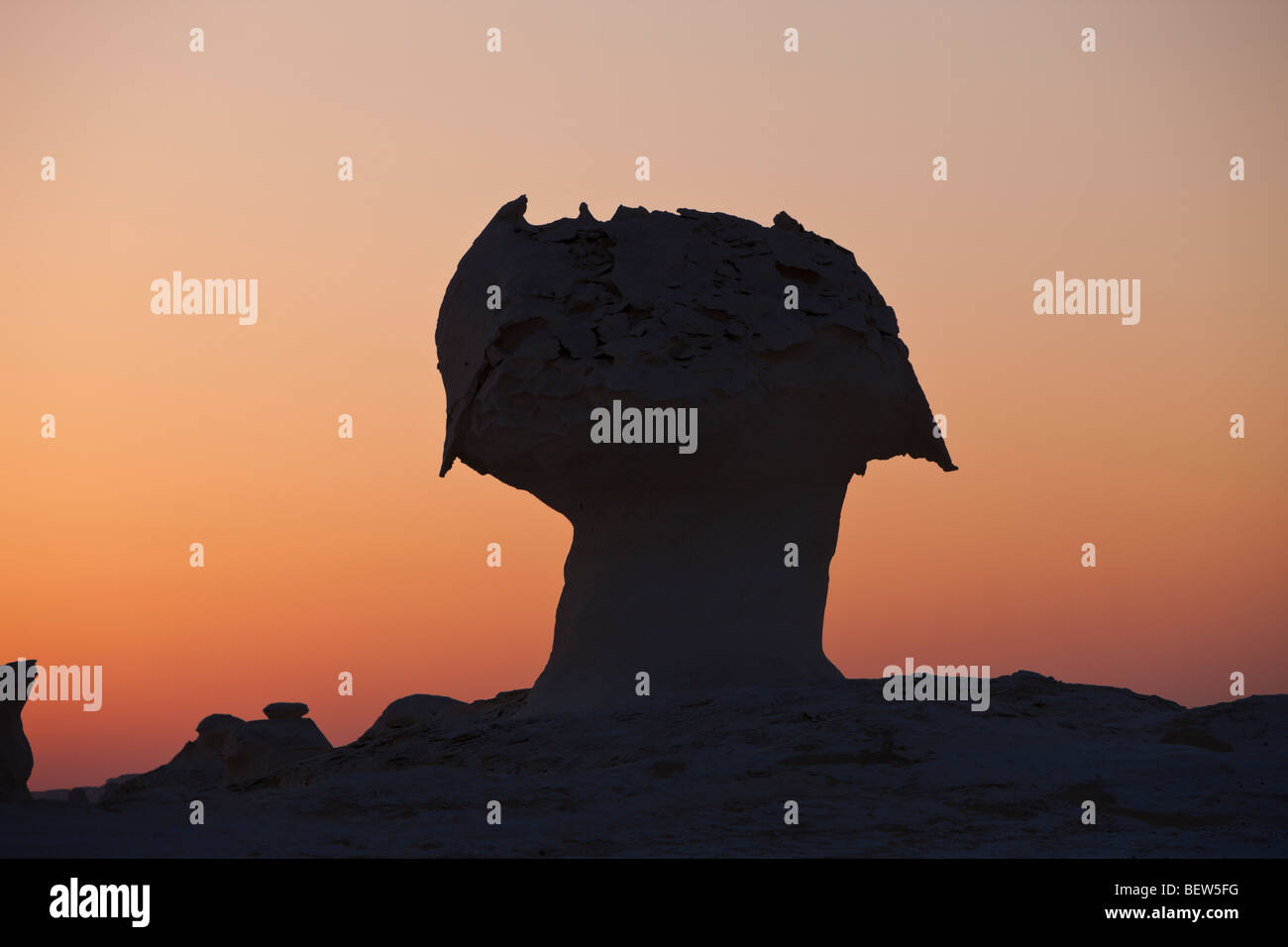 Desert oasis at night hi-res stock photography and images - Alamy