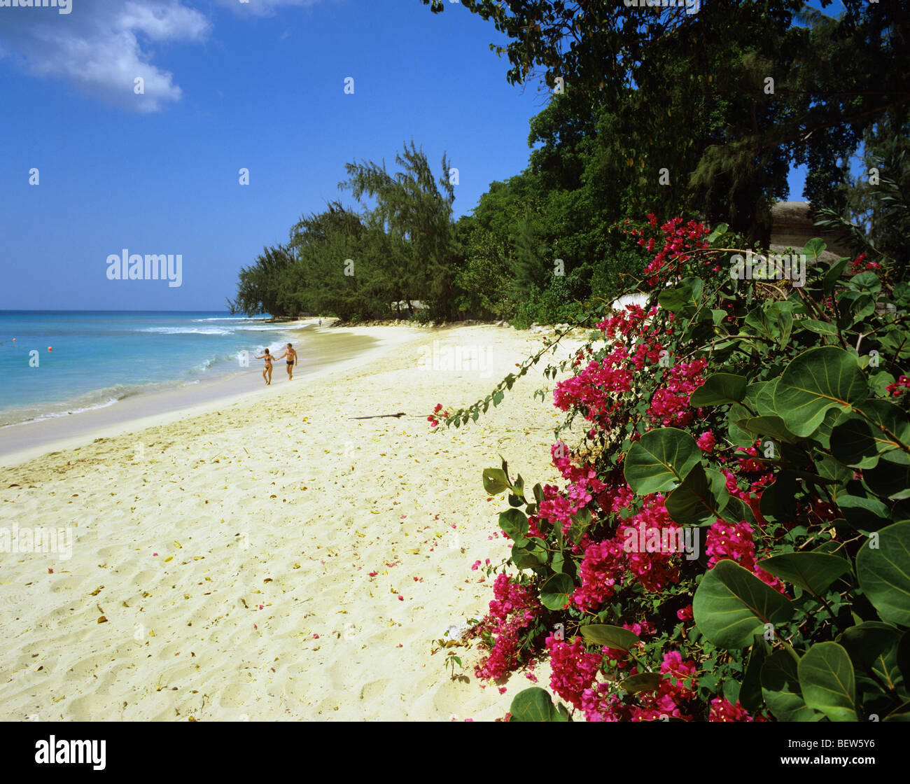 Barbados - Idyllic tropical beach on the west coast Stock Photo - Alamy