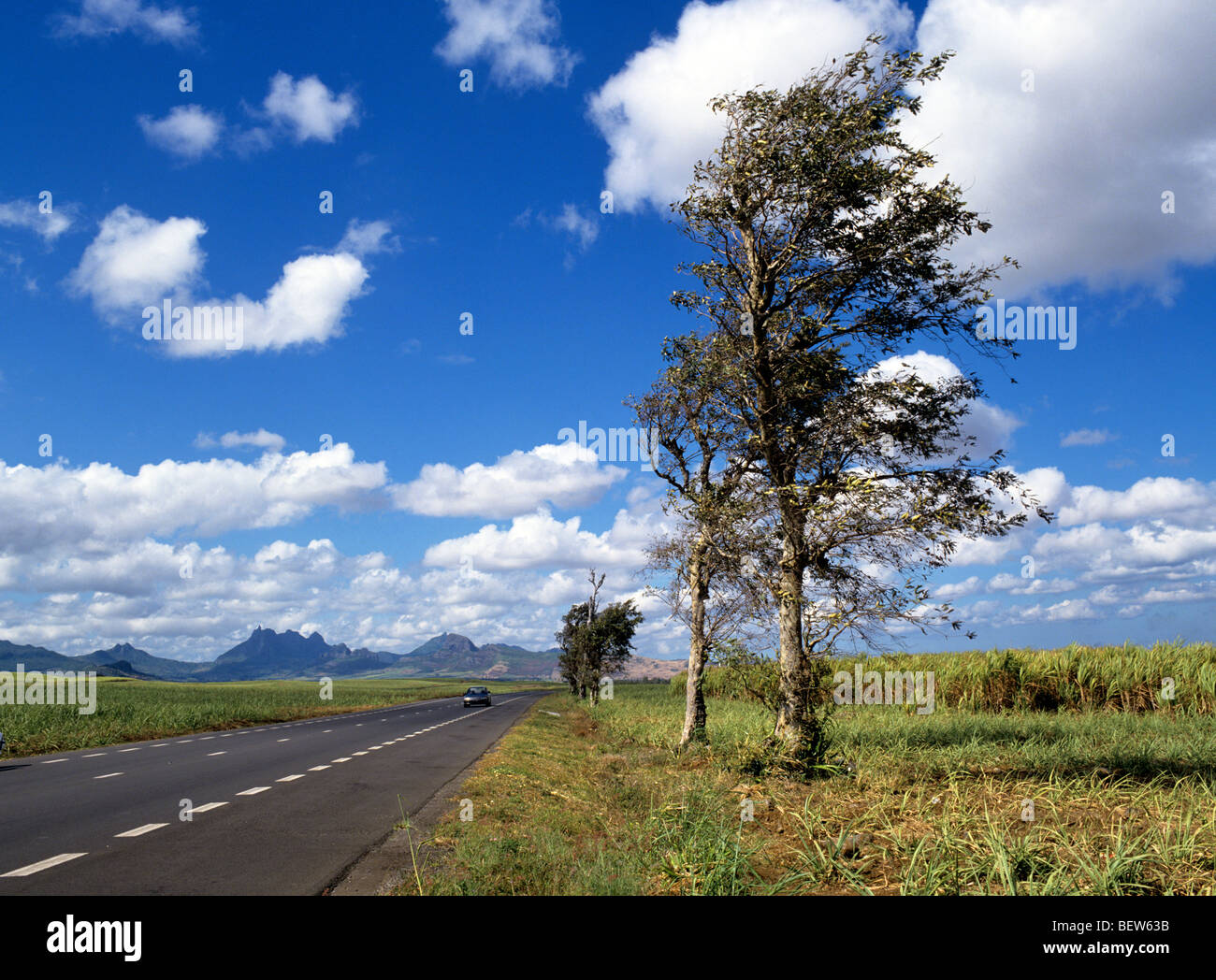 View showing the Moka Mountain Range from across sugar cane fields on ...