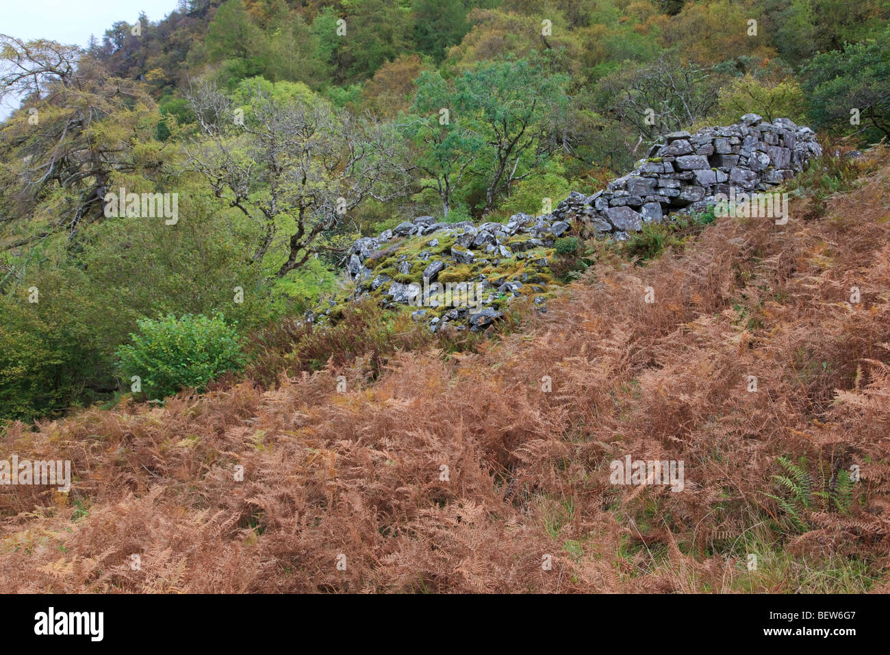 Caistel Grugaig Broch at Totaig Stock Photo - Alamy