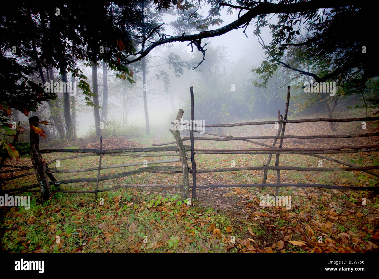 Daybreak mist fog foggy hi-res stock photography and images - Alamy