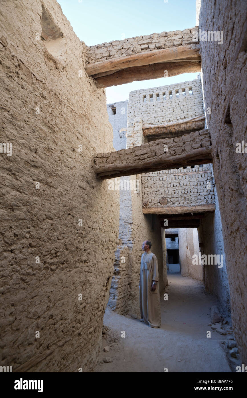 Oasis in libyan desert hi-res stock photography and images - Alamy