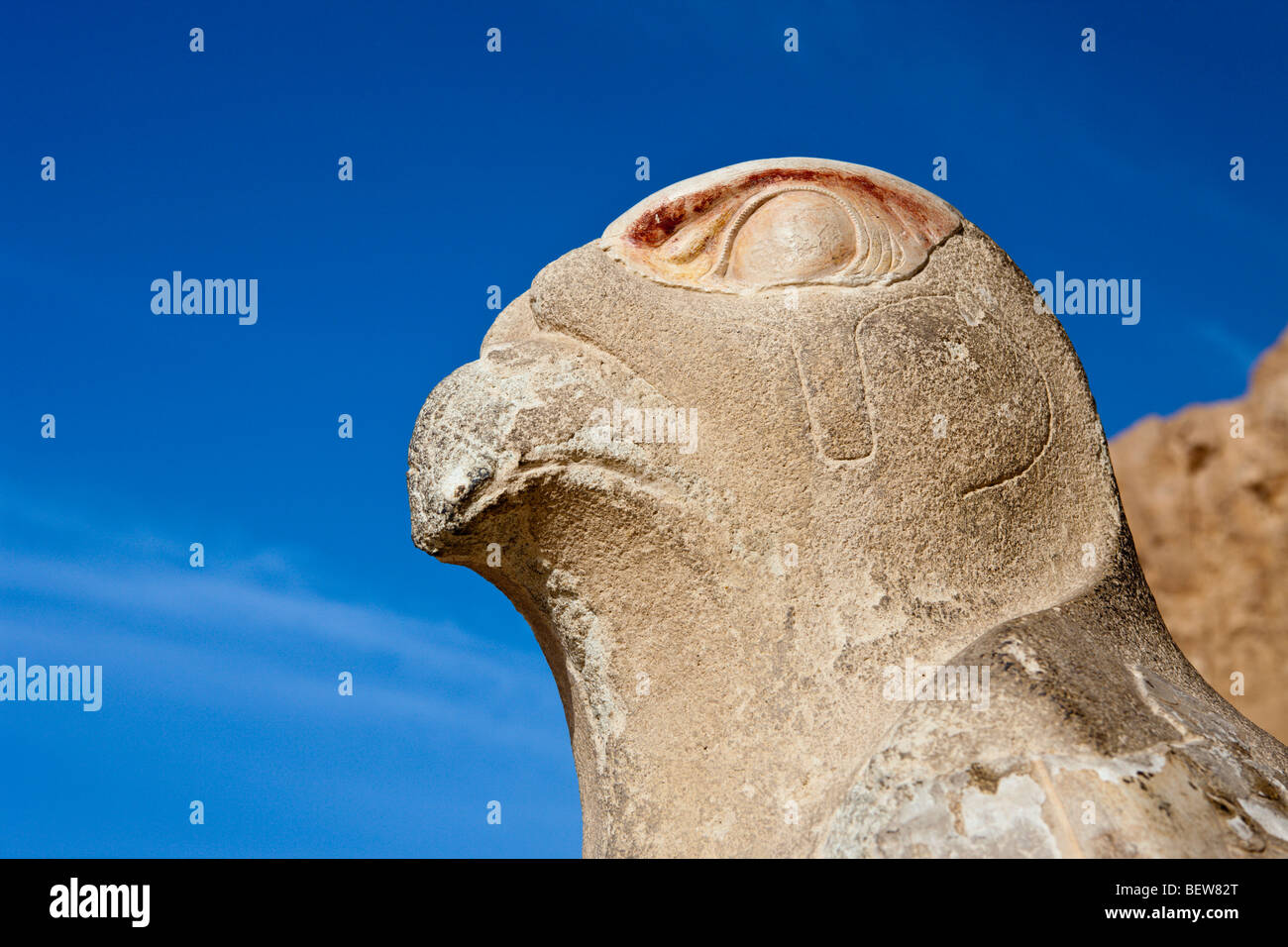 H is hawk hi-res stock photography and images - Alamy