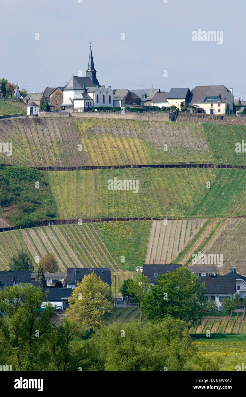 Osann monzel hi-res stock photography and images - Alamy