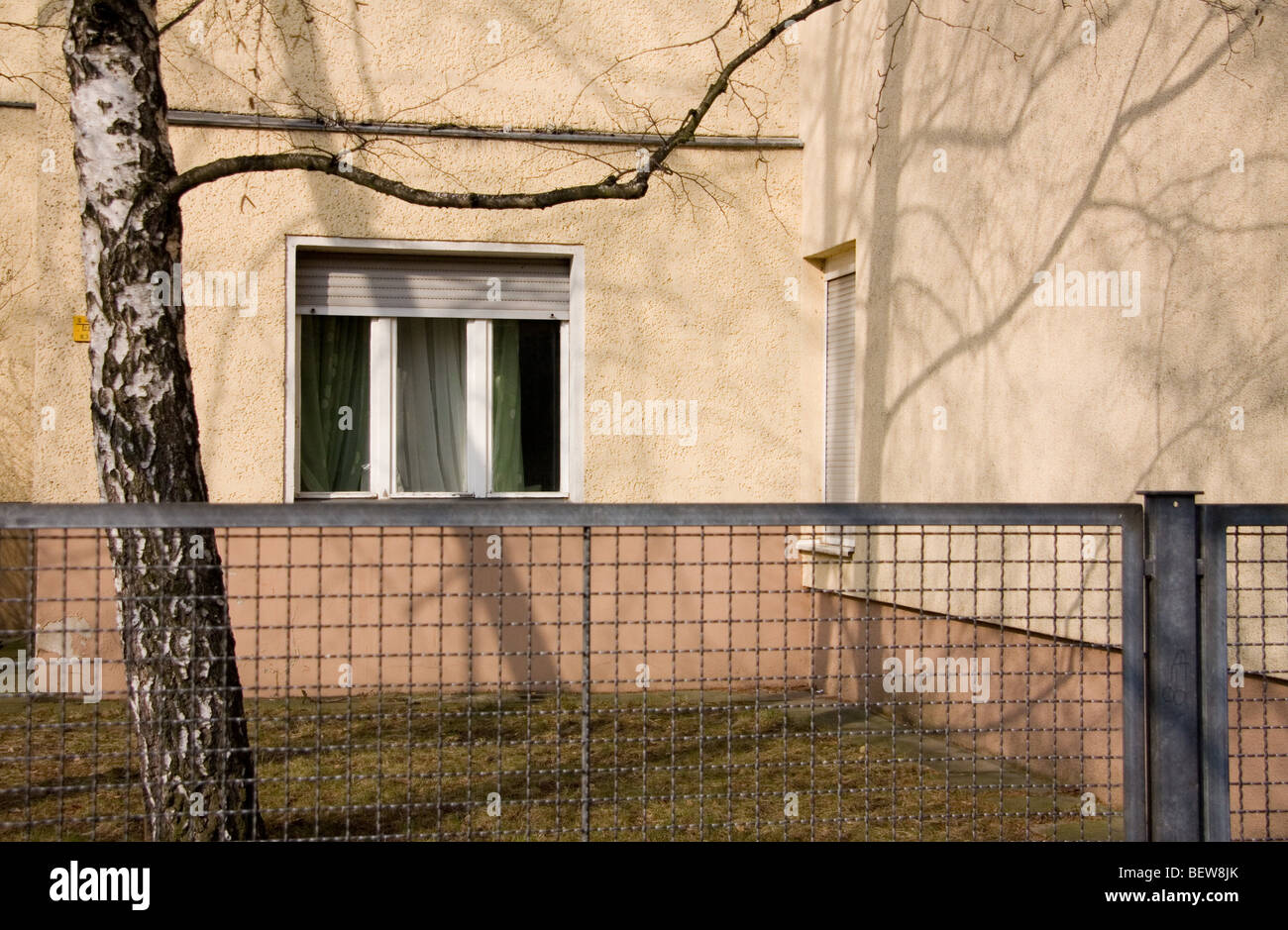 Birch Fence High Resolution Stock Photography and Images - Alamy