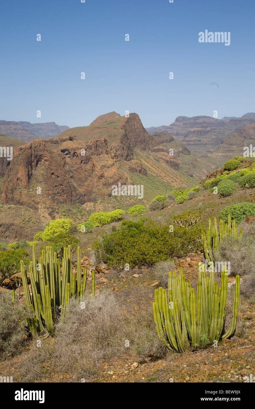 Mountain landscape, Gran Canaria, Canary Islands, Spain Stock Photo - Alamy