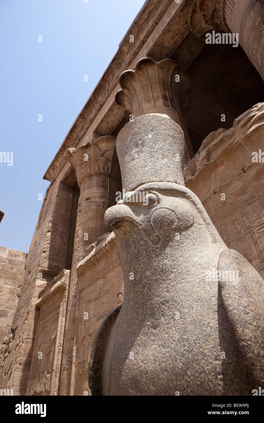 Horus falcon hi-res stock photography and images - Alamy