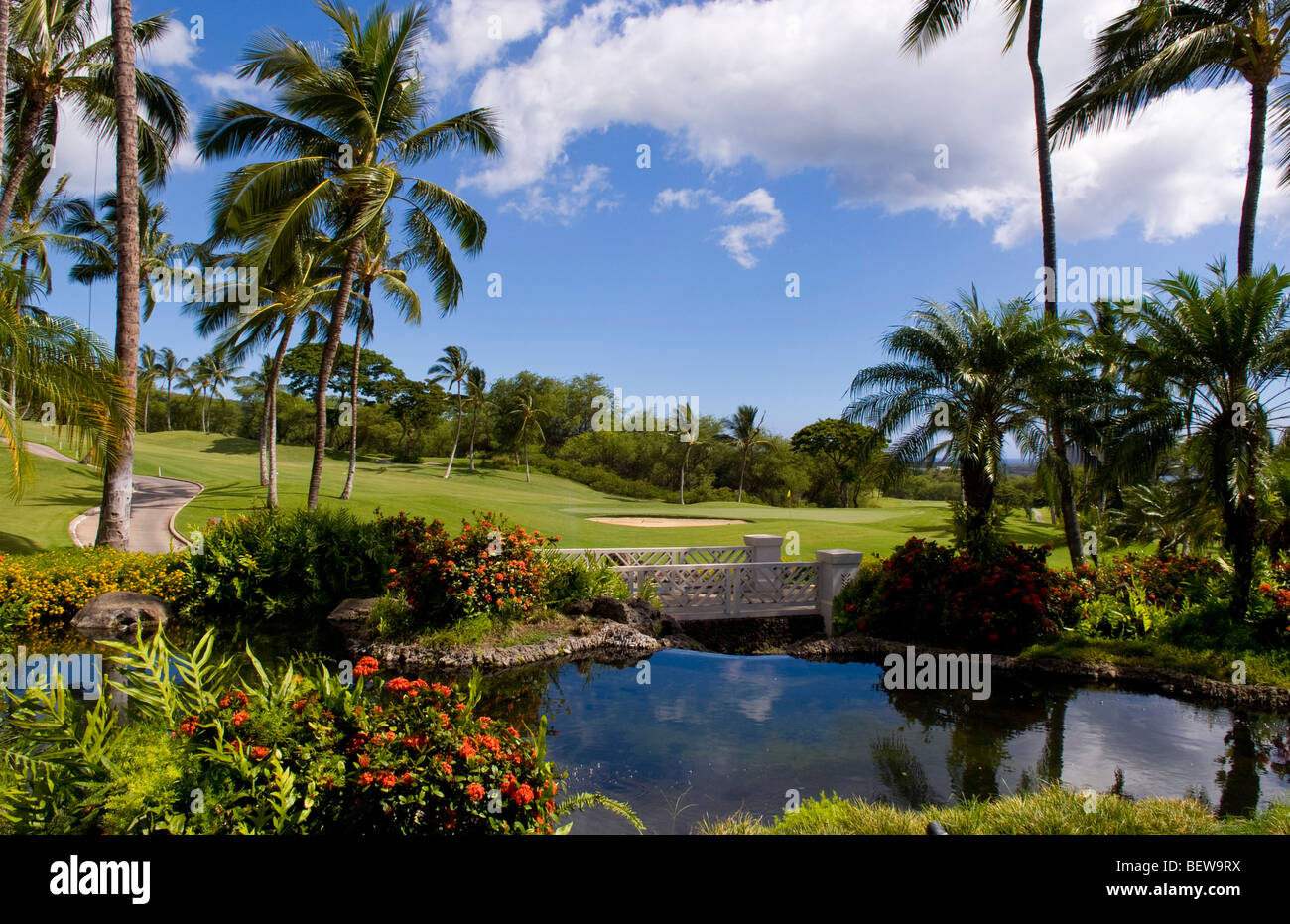 Gold course pond hi-res stock photography and images - Alamy