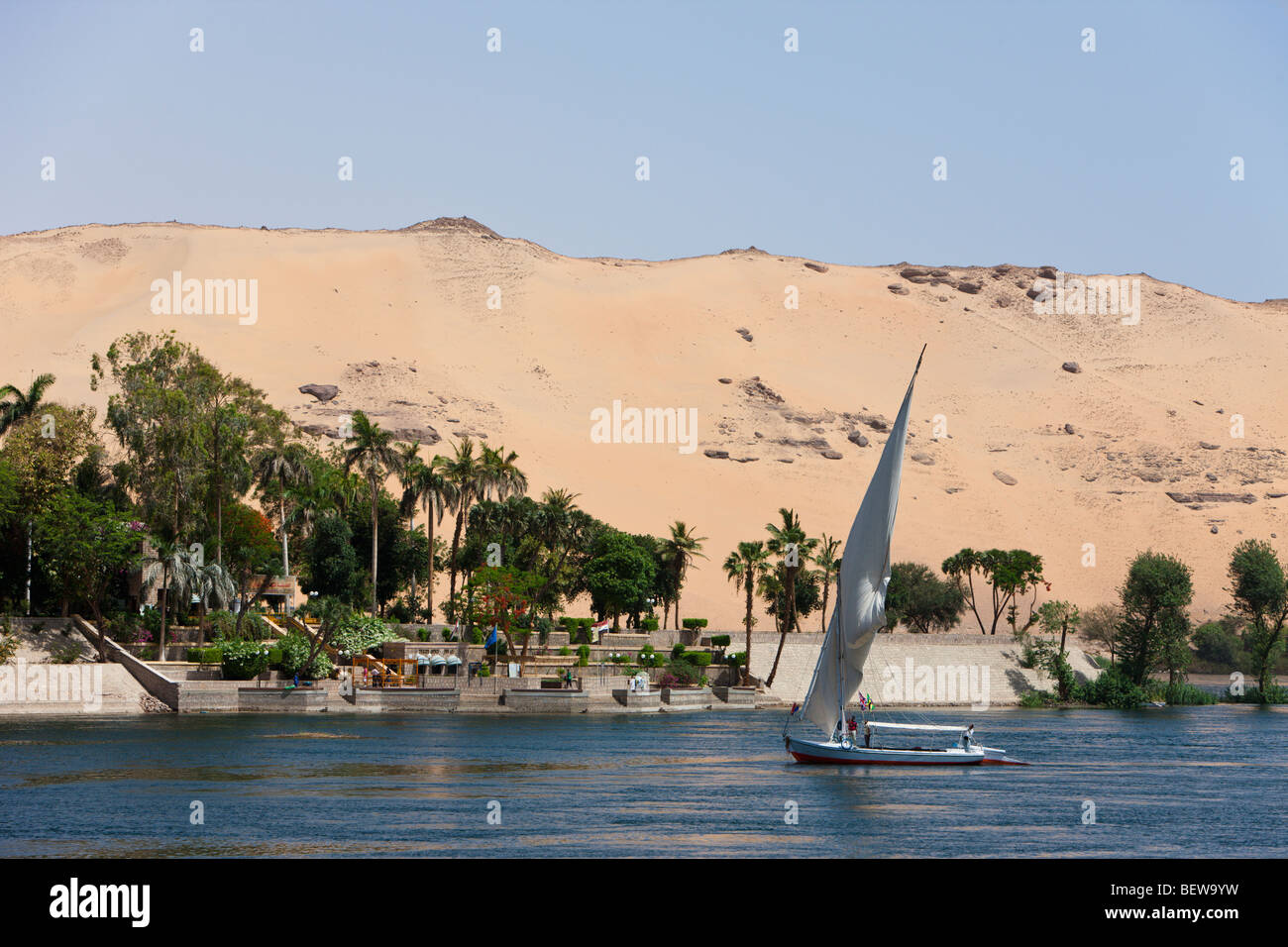 Aswan botanical garden hi-res stock photography and images - Alamy